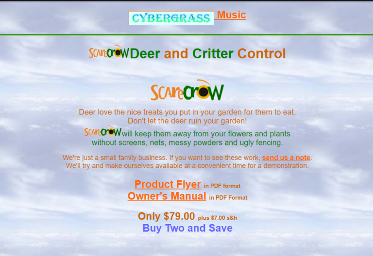 Flashback: What Were The Earliest Websites Like? - iNet Ventures