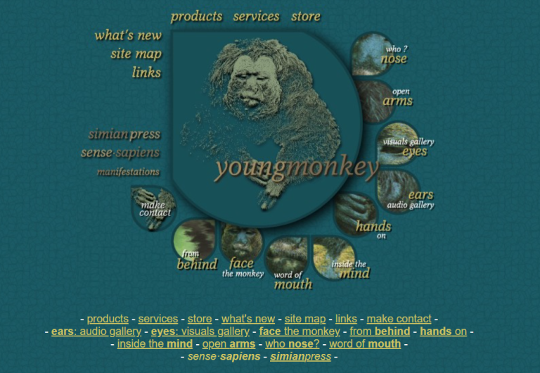 Flashback: What Were The Earliest Websites Like? - iNet Ventures