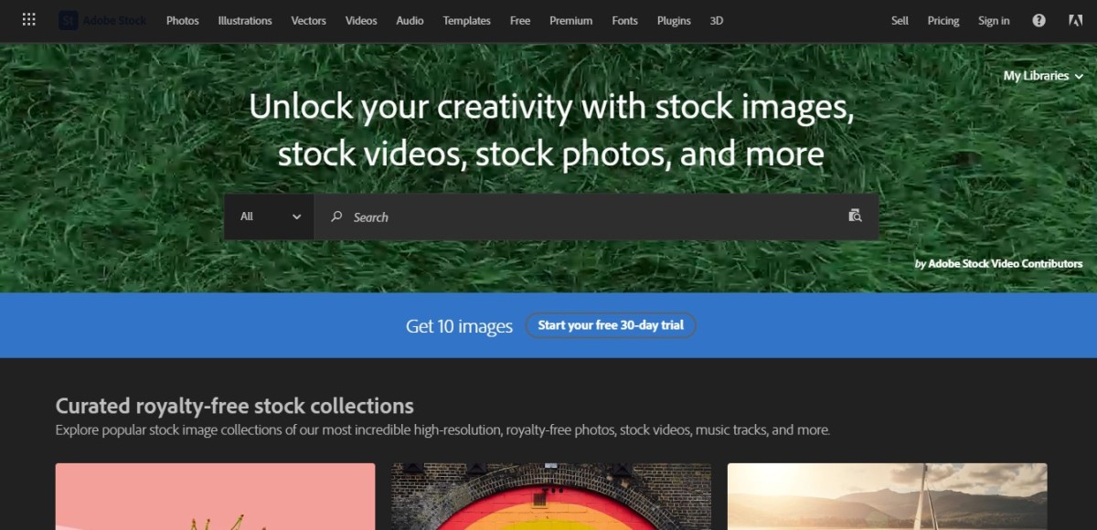 The Top 10 Pexels Alternatives [2024] - iNet Ventures