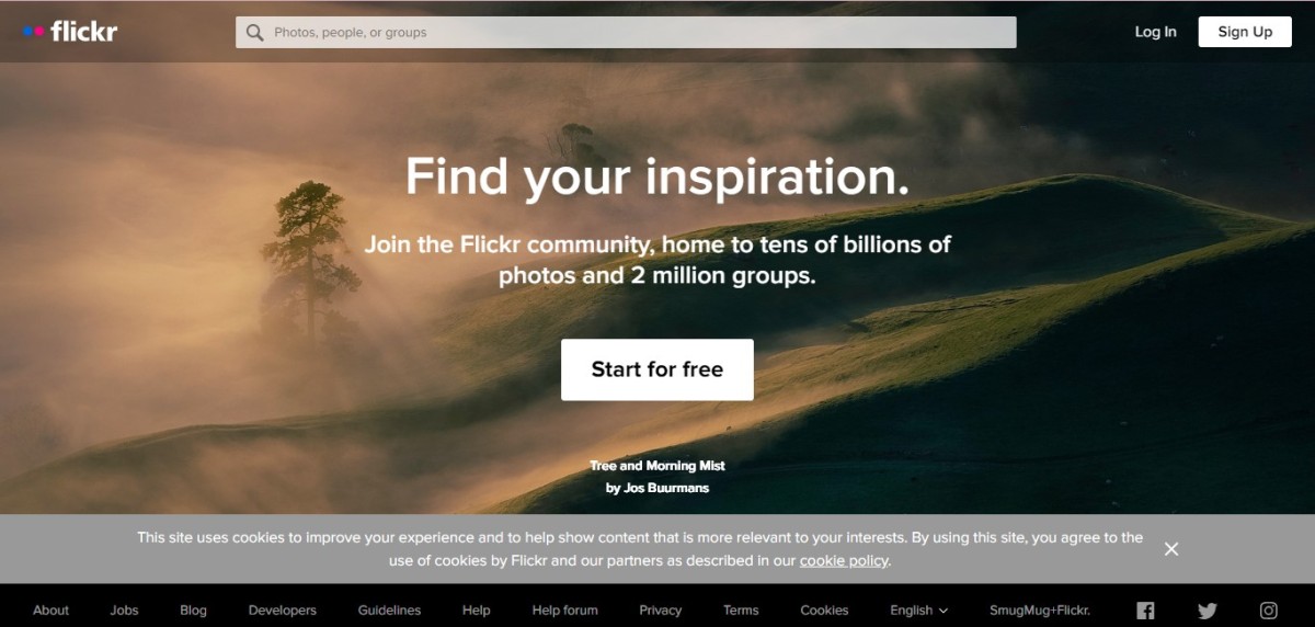 The Top 10 Pexels Alternatives [2024] - iNet Ventures